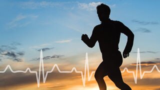 CardioDay Holter ECG software | GE HealthCare (India)