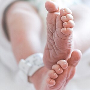 Panda Warmer Family Brochure