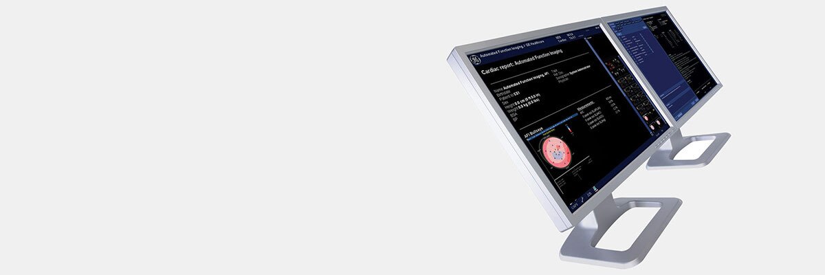 EchoPAC Clinical Workstation Software | GE Healthcare (India)