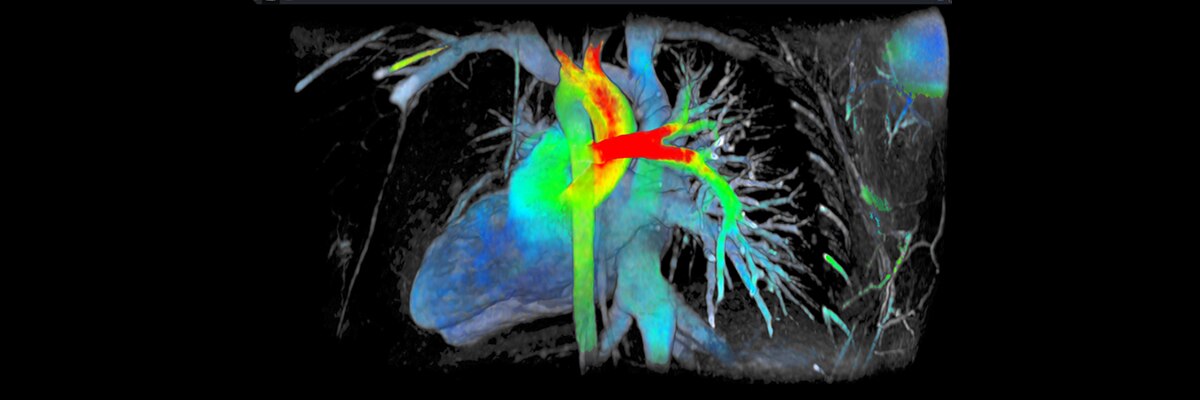 ViosWorks | GE HealthCare (India)